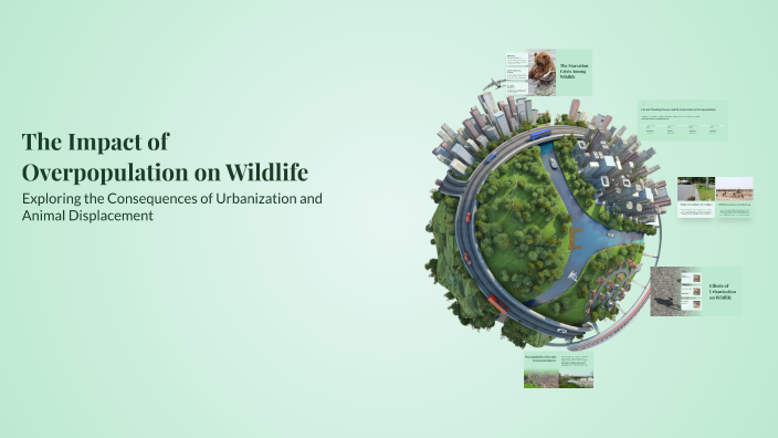 The Impact of Overpopulation on Wildlife by Jesse Williams on Prezi