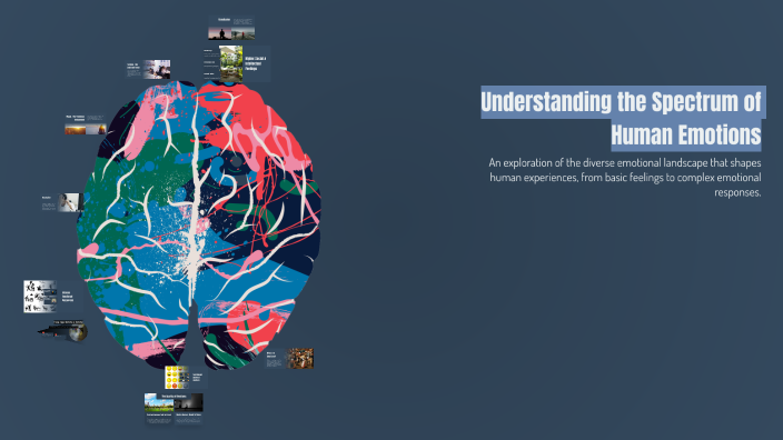 Understanding the Spectrum of Human Emotions by Досымжан Берикказы on Prezi