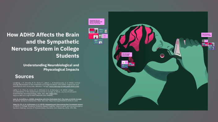 How ADHD Affects the Brain and the Sympathetic Nervous System in ...