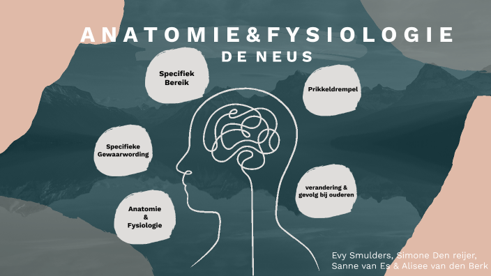 anatomie de neus by Evy Smulders on Prezi