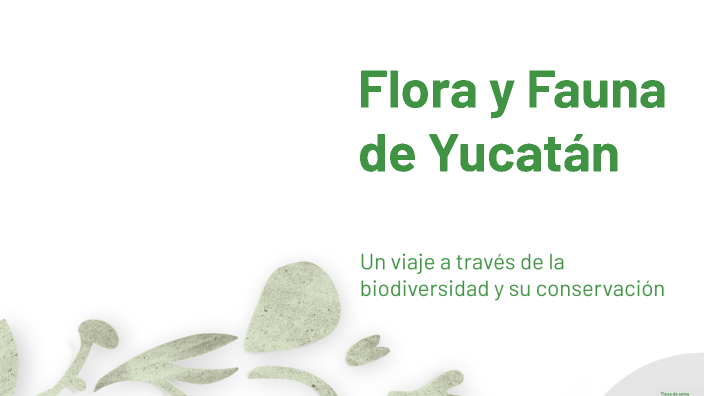 Flora y Fauna de Yucatán by Jose Alejandro Duran Cauich on Prezi