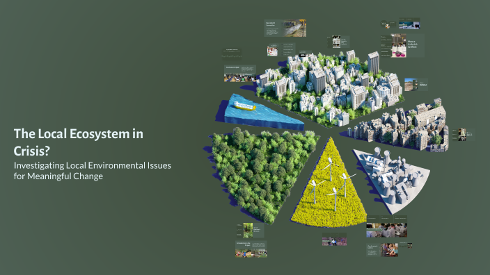 The Local Ecosystem in Crisis? by cha Borra on Prezi