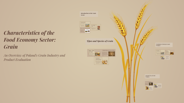 Characteristics of the Food Economy Sector: Grain by Julia Kisiel on Prezi