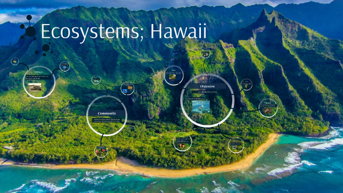 Ecosystems; Hawaii by lydia schembre on Prezi