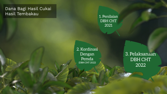 Dana Bagi Hasil Cukai Hasil Tembakau by Samuel Aruan on Prezi