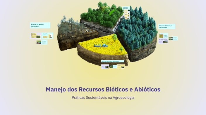 Manejo dos Recursos Bióticos e Abióticos by Leidiane Poquivique ...