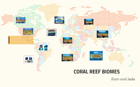 CORAL REEF BIOMES by Aela O'F on Prezi