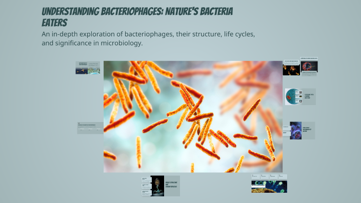 Understanding Bacteriophages: Nature's Bacteria Eaters by Prezi Premium ...