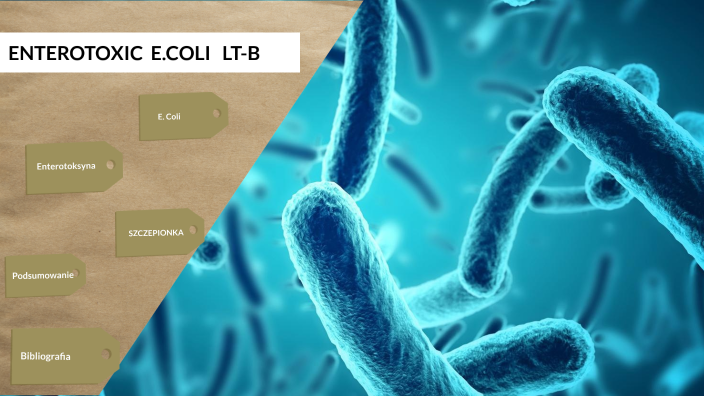 Enterotoxic E. Coli by martyna muskala on Prezi