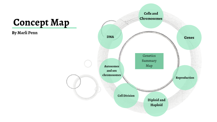 Concept Map by Marli Penn on Prezi