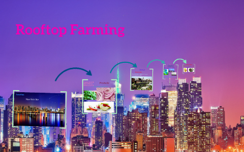 Rooftop Farming by Tolu Ojo