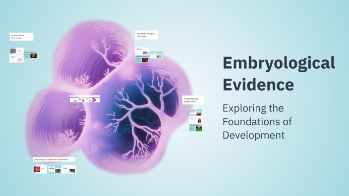 Embryological Evidence by Артём Гусев on Prezi