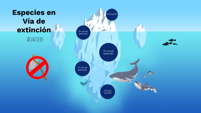 Descongelación de los Polos by Eileen Valencia on Prezi