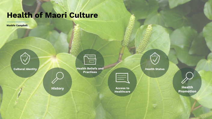 Health of Maori Culture by maddie campbell on Prezi