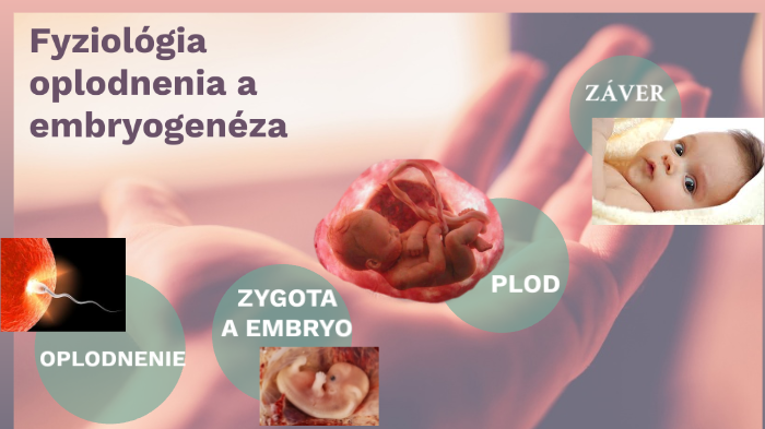 Fyziológia oplodnenia a embriogenéza by martin sedlacek on Prezi
