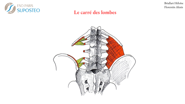 Carré des lombes by Héloïse Briallart on Prezi