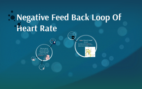 Negative Feed Back Loop Of Heart Rate by collin stock on Prezi