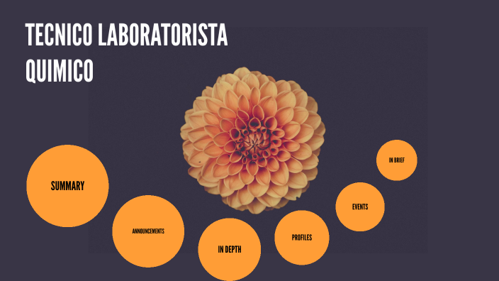 BRIAN by lizet reyes on Prezi