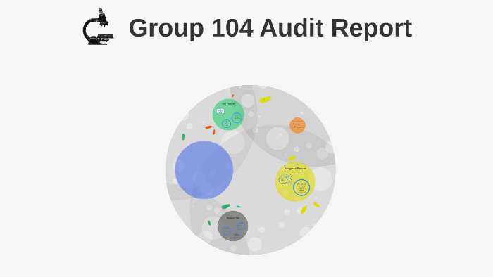 Group 104 Audit Report by Dylan Callender on Prezi