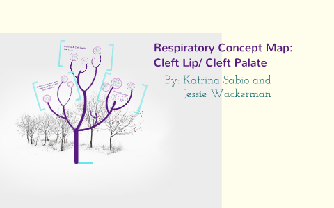Respiratory Concept Map: by Jessie Wackerman on Prezi
