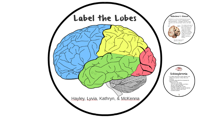 Label the Lobes by Lyv Osterstock on Prezi