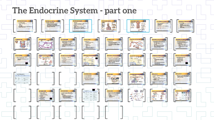 I - The Endocrine System - Part One by David Myers on Prezi