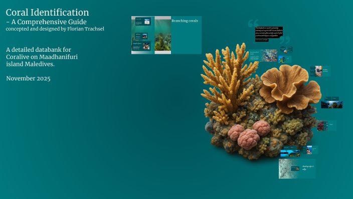 Coral Identification: A Comprehensive Guide by Florian Trachsel on Prezi
