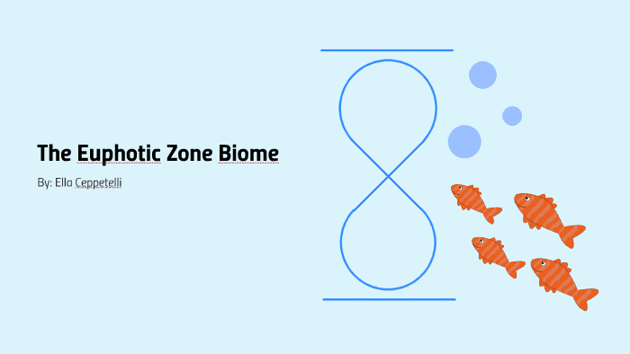 What is the Euphotic Zone? by Ella Ceppetelli on Prezi
