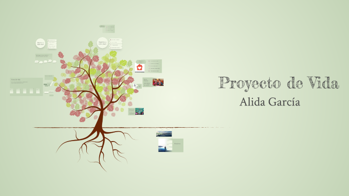 Proyecto de Vida by Alida García on Prezi