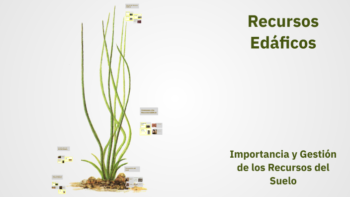 Recursos Edáficos by Joaquina Sterr on Prezi