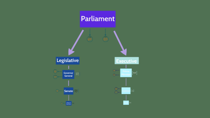 Legislative vs Executive Mind Map by Hala Siblani on Prezi