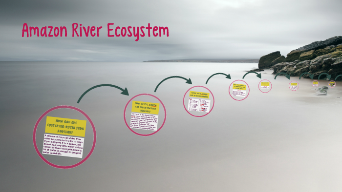 Amazon River Ecosystem by Thomas Mickormick on Prezi