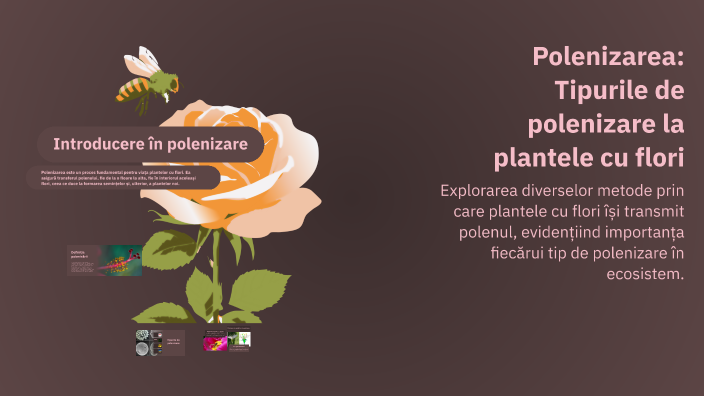 Polenizarea: Tipurile de polenizare la plantele cu flori by Gimnaziul ...