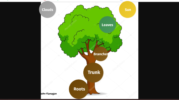 Civic Identity Tree by John Flanagan on Prezi