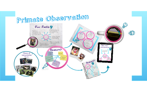 Primate Observation by Lindsay Mirick on Prezi