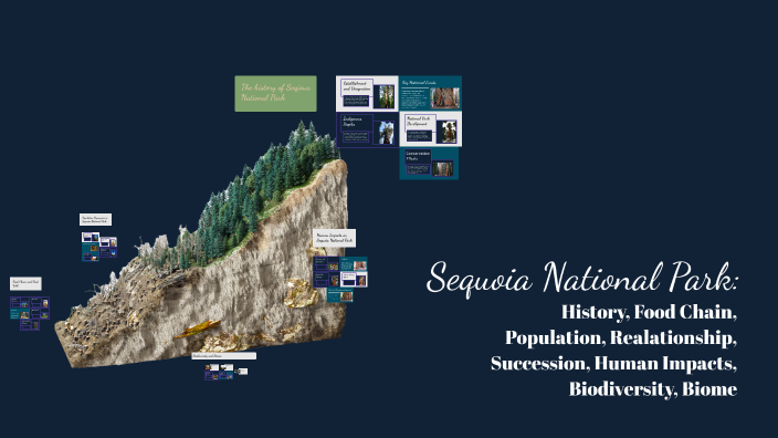Sequoia National Park: A Comprehensive Study by Ty Heidergott on Prezi