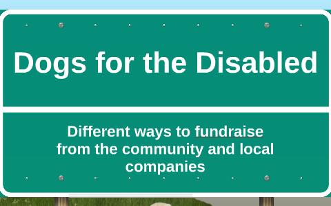 Dogs for the disabled by John Rullo