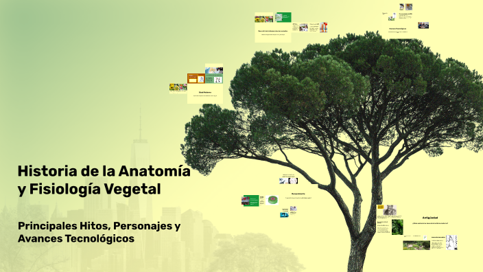 Historia de la Anatomía y Fisiología Vegetal by Eduardo Ramos on Prezi