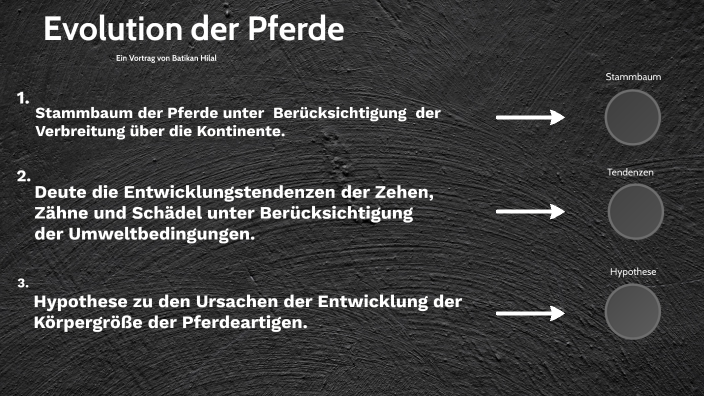 Evolution der Pferde by Batikan Hilal on Prezi