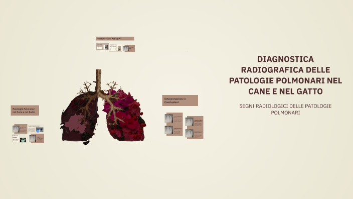 DIAGNOSTICA RADIOGRAFICA DELLE PATOLOGIE POLMONARI NEL CANE E NEL GATTO ...
