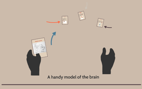 A handy model of the brain by marizol hernandez on Prezi