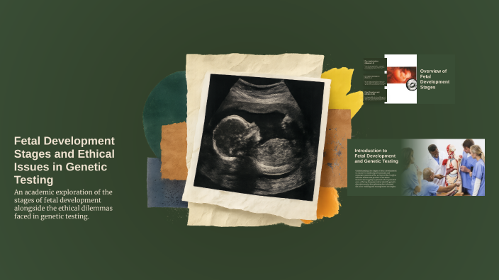 Fetal Development Stages and Ethical Issues in Genetic Testing by ...