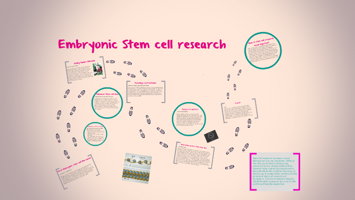 Stem cell timeline by Mary Oster on Prezi