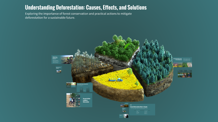 Understanding Deforestation: Causes, Effects, and Solutions by Abby ...