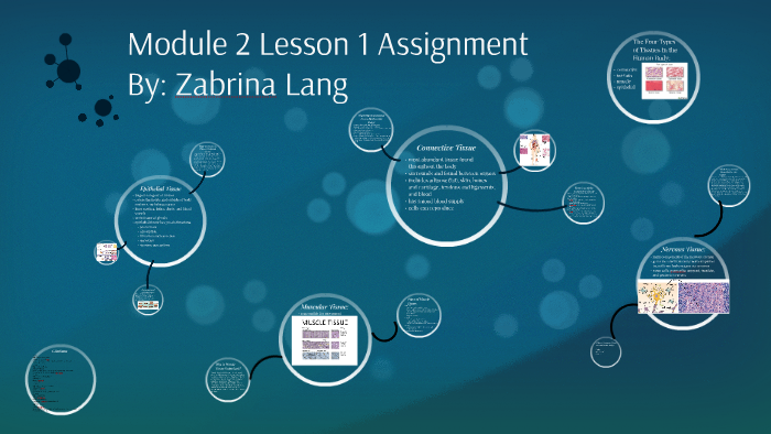Module 2 Lesson 1 Assignment by Zabrina Lang on Prezi