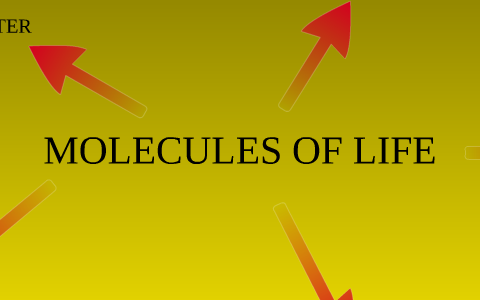 biology molecule of life by anna adek on Prezi