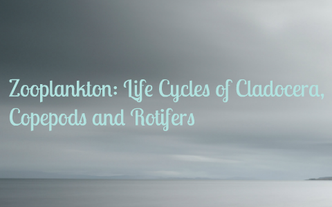 Zooplankton: Life Cycles of Cladocera, Copepods and Rotifers by Deena ...