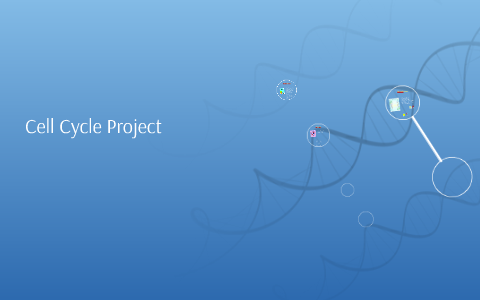 Cell Cycle Project by on Prezi