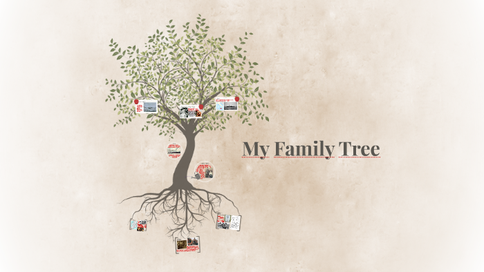 My Family Tree by Stephanie Amodeo on Prezi