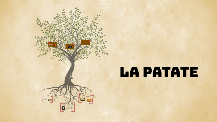 La Patate by Thomas Drevelle on Prezi